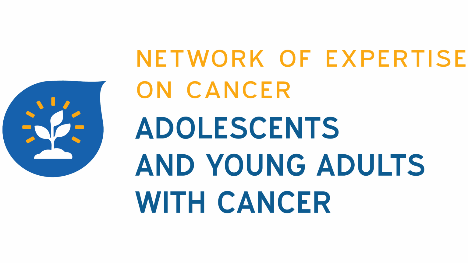 WP11-NoE on Adolescents and Young Adults (AYA)with cancer Annual ...